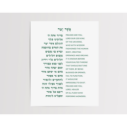 Asher Yatzar Bracha Blessing Poster – The Verse